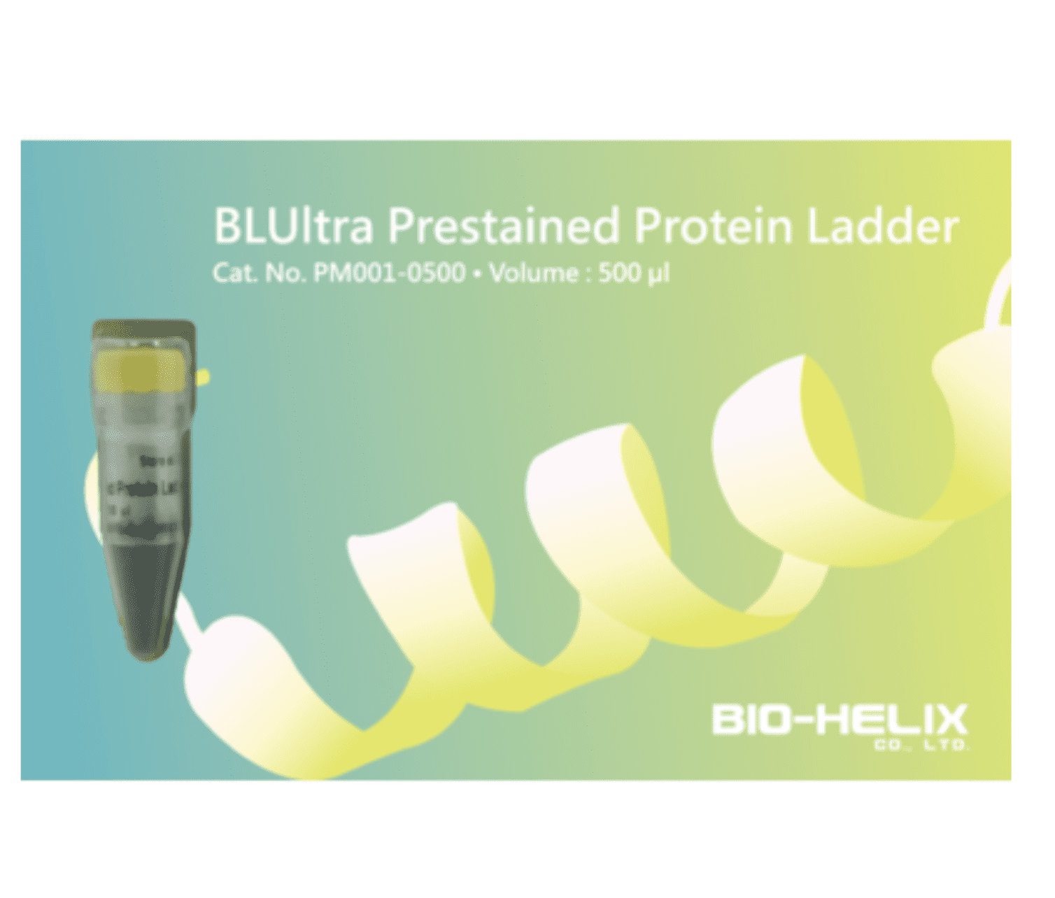 BH 100bp DNA Ladder RTU | AlGENOME SHOP