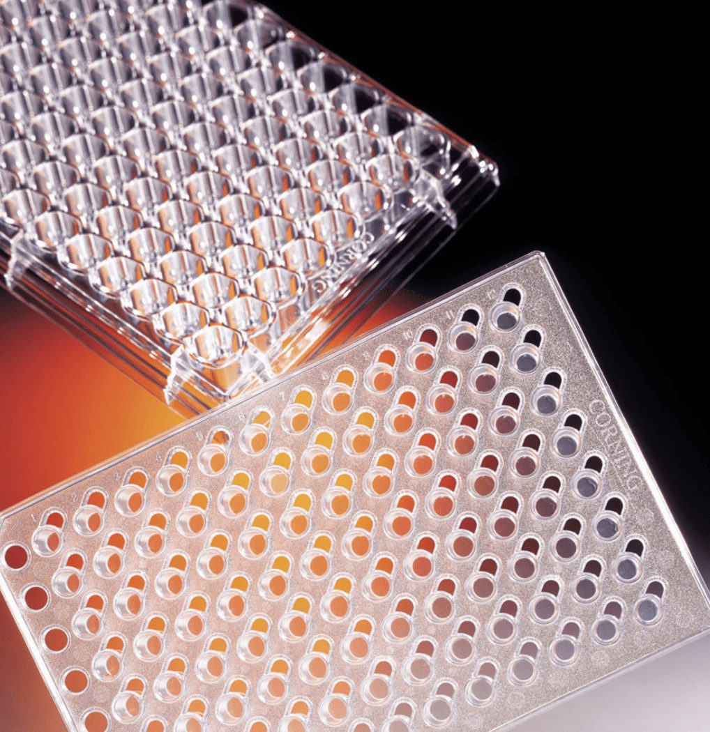 HTS Transwell®-96 Permeable Support with 5.0 µm Pore Polycarbonate ...