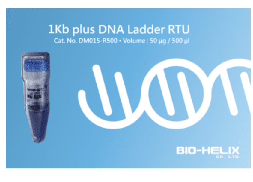 BH 1 Kb plus DNA Ladder RTU (Ready-to-Use) | AlGENOME SHOP