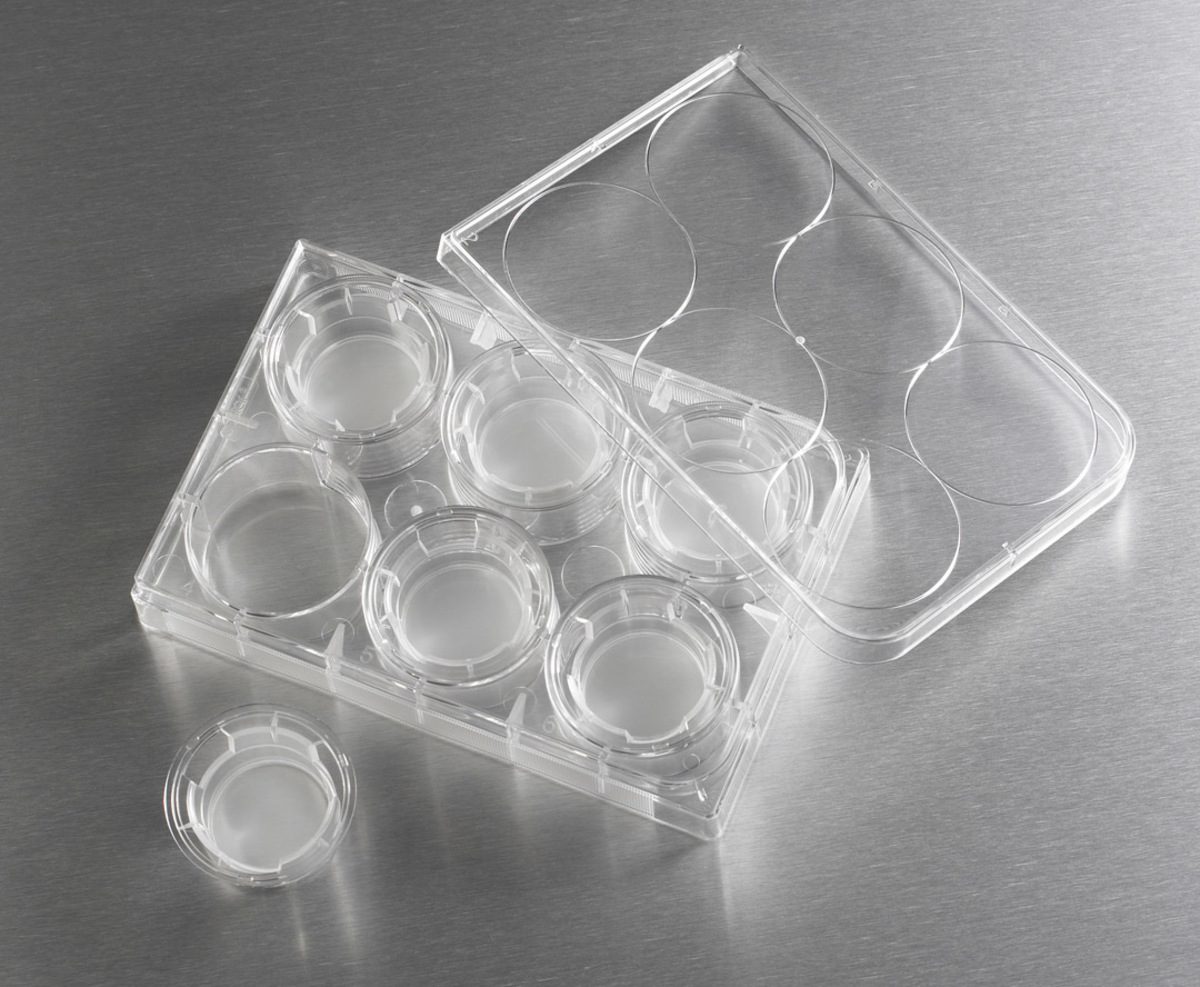 24 mm Transwell® with 3 µm Pore Polyester Membrane Insert, Sterile ...