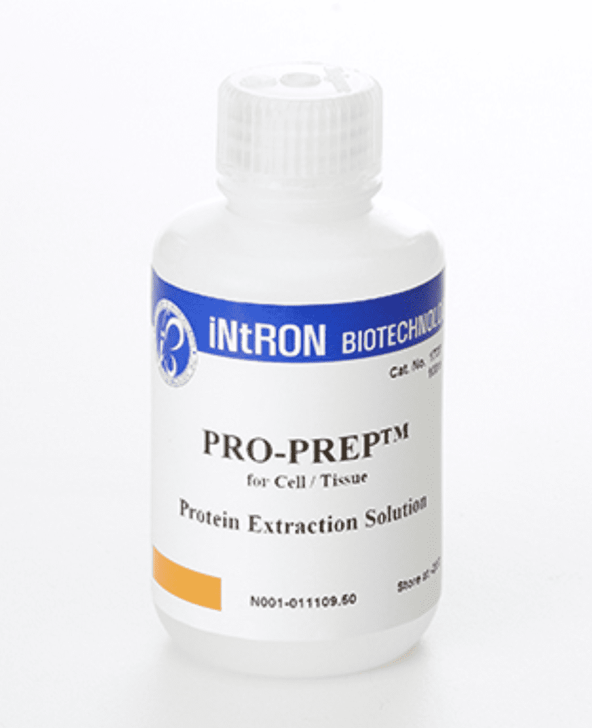 PRO-PREP™ Protein Extraction Solution (C/T) | AlGENOME SHOP