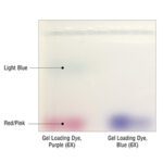 Gel Loading Dye, Purple (6X) | AlGENOME SHOP